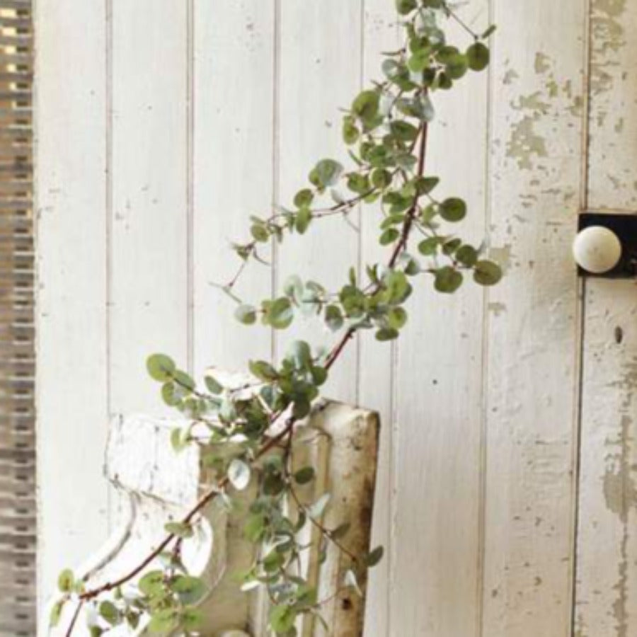 6' Eucalyptus Garland – Lillian Elsie Home